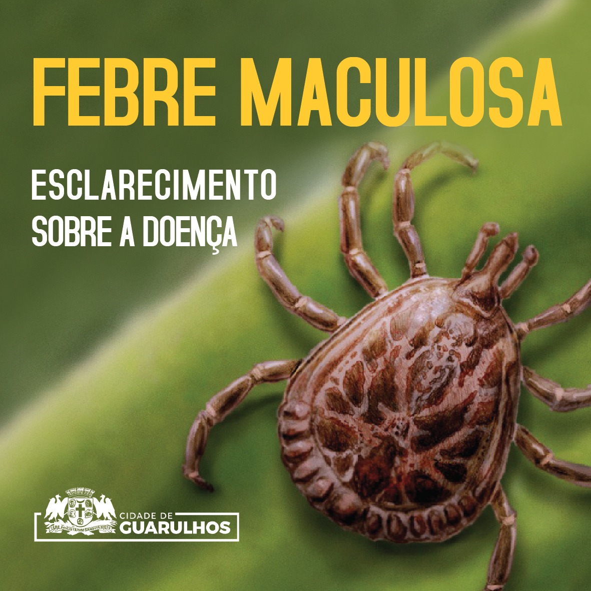 Febre Maculosa Exames Laboratoriais - NAZAEDU