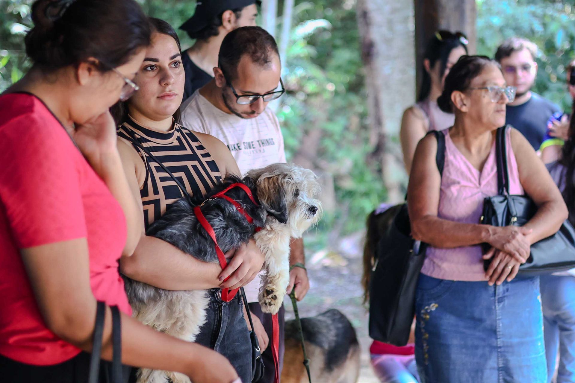 Dpan abre 350 novas vagas para castração gratuita e cães e gatos; veja ...